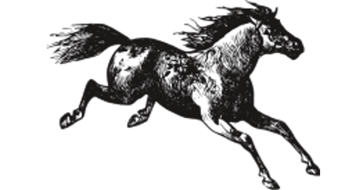 About Us – Steed Coffee